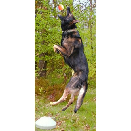 K9 BSD BALL | Lanza Pelotas K9 BSD con mando a distancia para perros ...