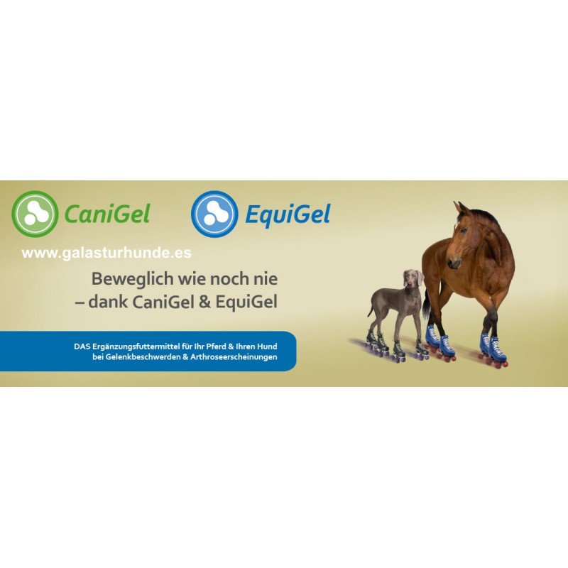 Canigel® Premium | Condroprotector Natural Extra Perros | Galasturhunde