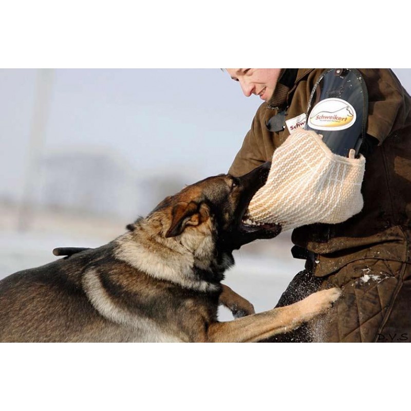 Brazo para perro joven parte inferior Algodón sintético | Schweikert ...